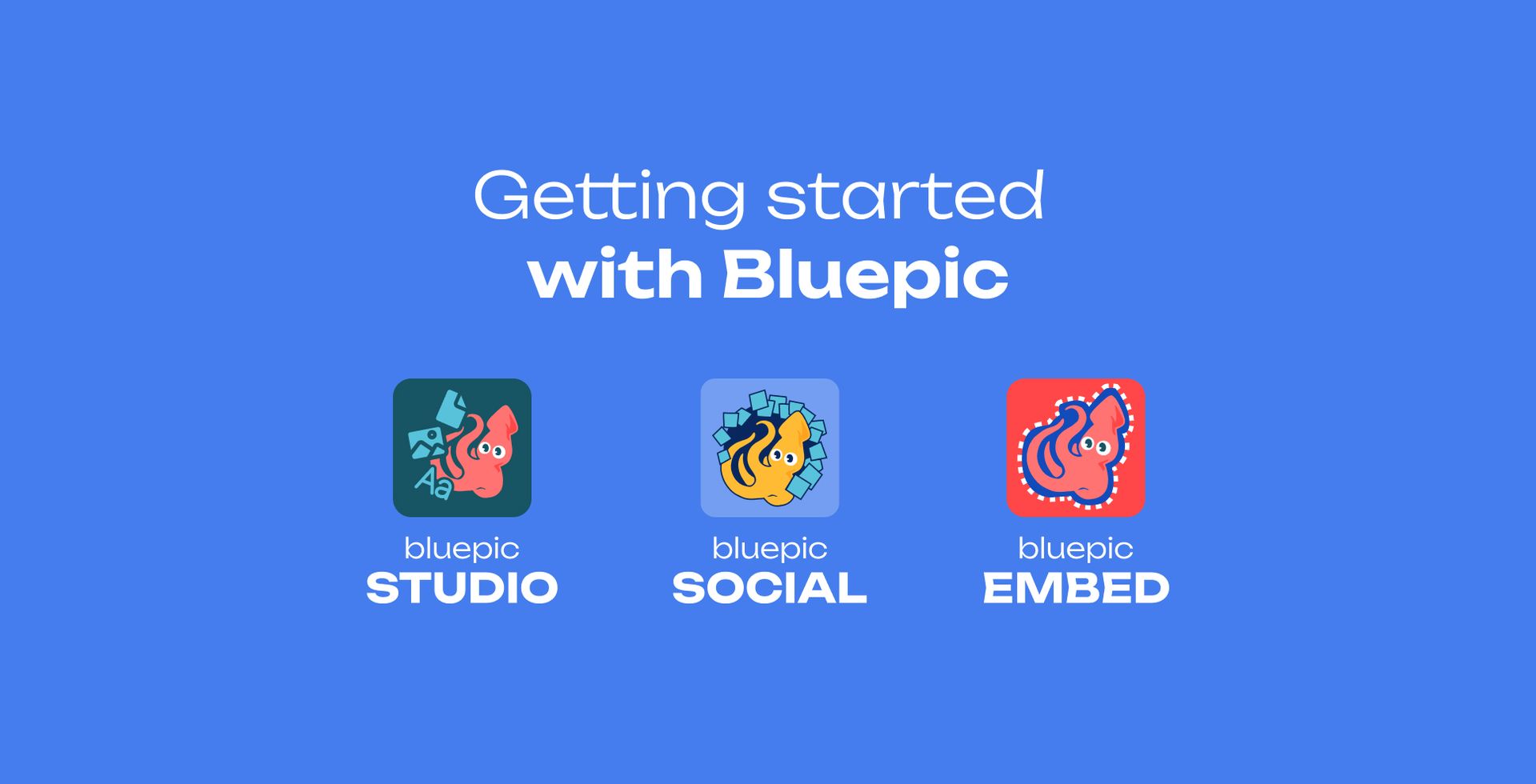 Step-by-step guide on getting Bluepic up and running in your team